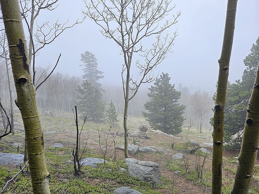 Meridian Trailhead - Simplify Renting - Denver Metro's Premier Airbnb ...